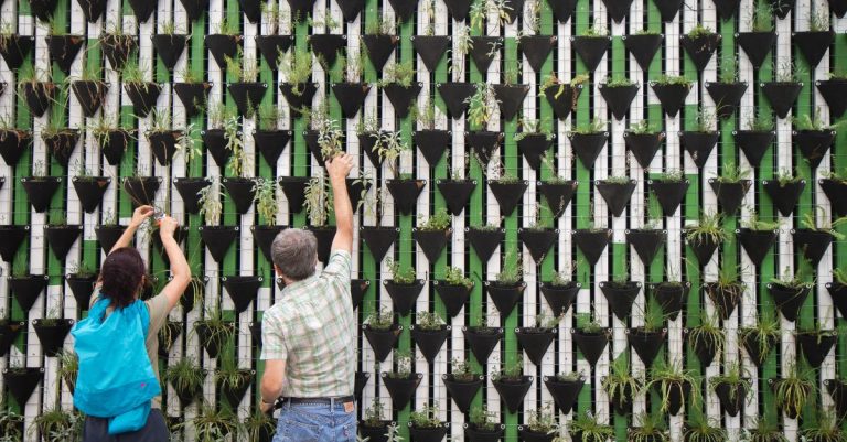 Is the Pyramid of Corporate Social Responsibility (CSR) still relevant in 2023? – SCOOCS